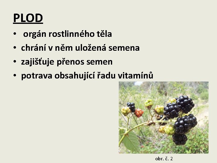 kola 1 Z T G Masaryka Milevsko Jebkova