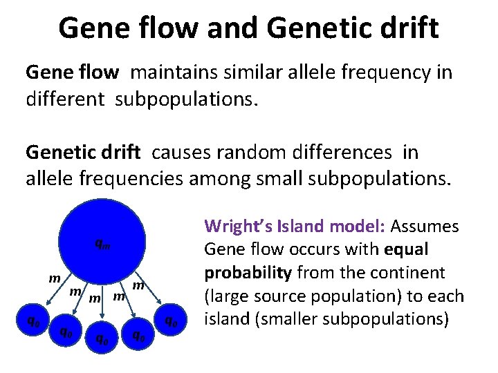 Lab 7 Estimating Population Structure Goals 1 Estimate