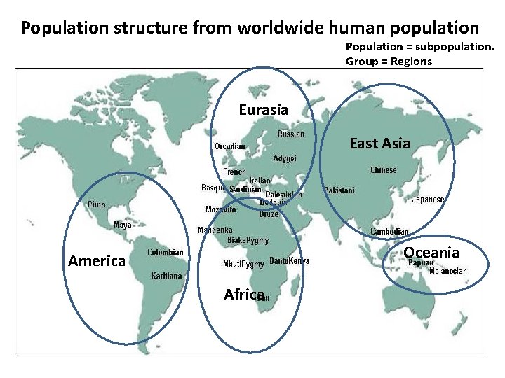 Lab 7 Estimating Population Structure Goals 1 Estimate