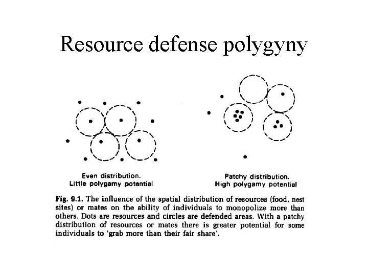 Mating Systems Causes Types and distribution Ecological factors