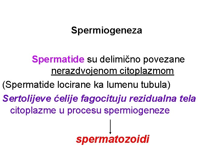 REPRODUKTIVNI SISTEM Funkcija reproduktivnog sistema Nastanak nove jedinke