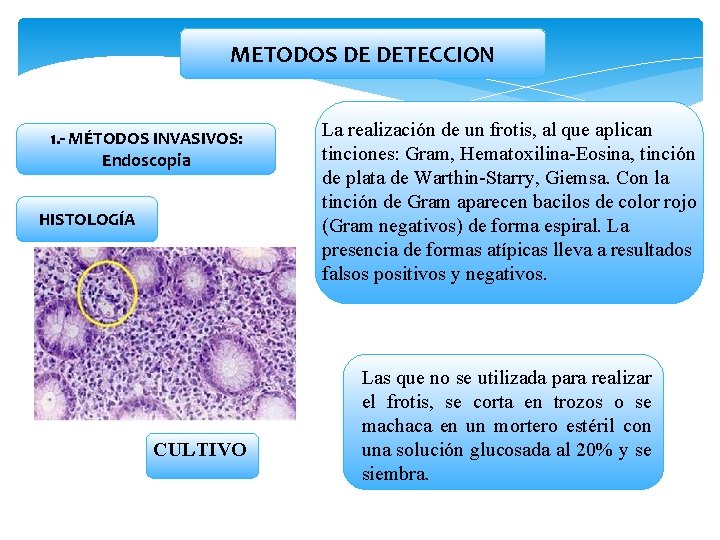PREVALENCIA DEL HELICOBACTER PYLORI EN PACIENTE CON ENFERMEDAD