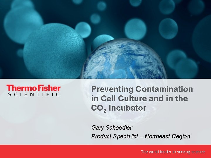 Preventing Contamination in Cell Culture and in the
