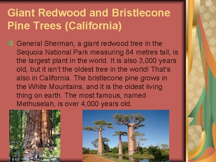 Seven Natural Wonders of America Death Valley California