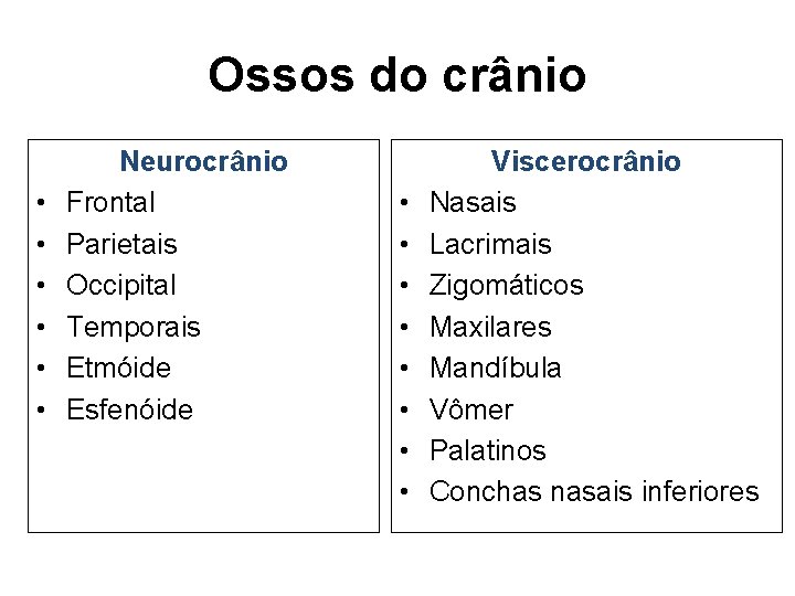ANATOMIA TOPOGRFICA DA CABEA AULA 1 Introduo Ossos