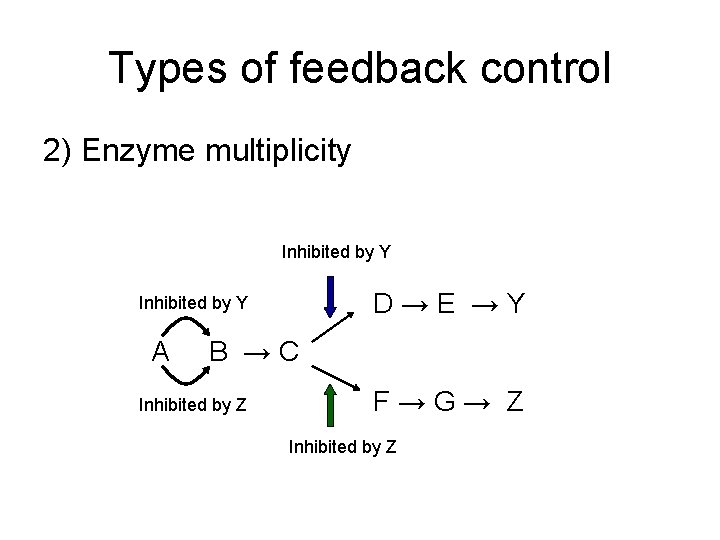 Engineering of Biological Processes Lecture 5 Control of