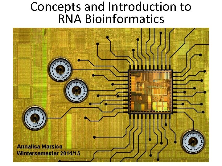 Concepts and Introduction to RNA Bioinformatics Annalisa Marsico