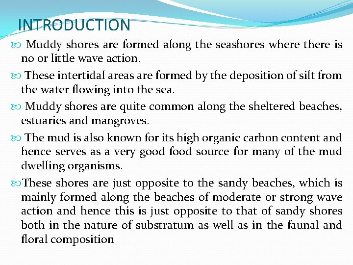MUDDY SHORE INTRODUCTION Muddy shores are formed along