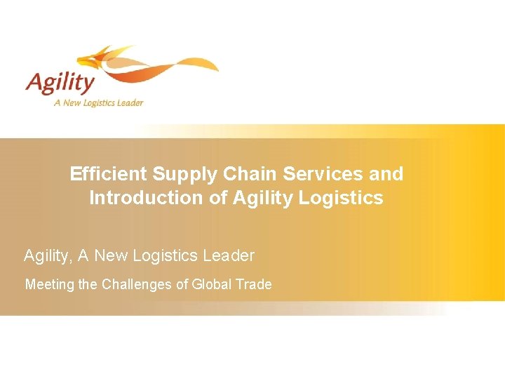 Efficient Supply Chain Services and Introduction of Agility
