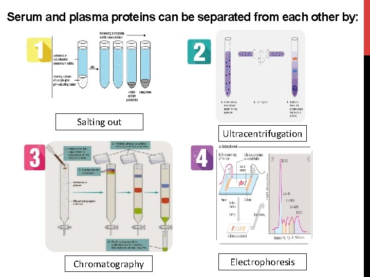 Separation of Plasma and Serum and Their Proteins
