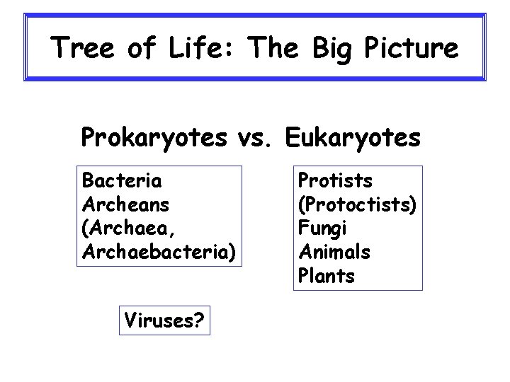 Tree of Life Prokaryotes and Eukaryotes BiologyEnv S