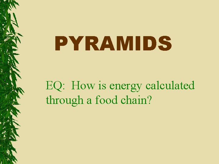 PYRAMIDS EQ How is energy calculated through a