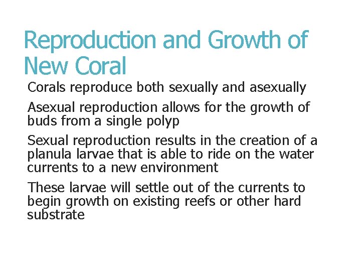 Coral Reefs Corals are cnidarians a phylum of