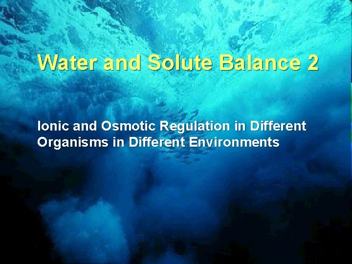 Water and Solute Balance 2 Ionic and Osmotic