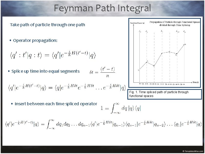 Mass of the Vector Meson in Quantum Chromodynamics