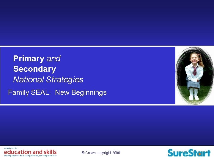 Primary and Secondary National Strategies Family SEAL New