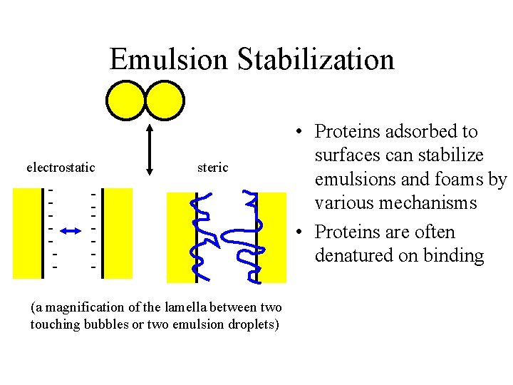 Protein Functionality FDSC 400 Goals HydrodynamicAggregation Viscosity ...