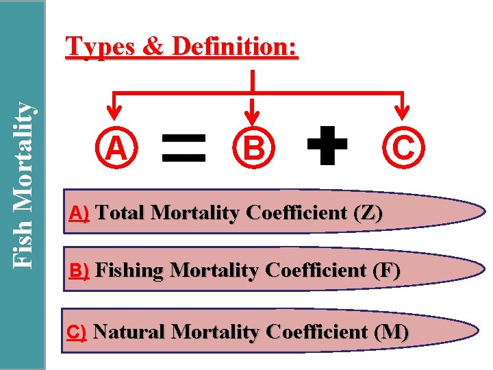 Fish Mortality Exploitation Ratio By Asaar S H