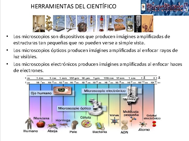 BIOLOGA Es la ciencia que estudia a los