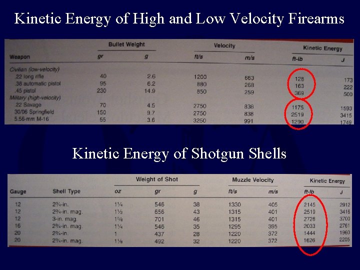 Gunshot Wounds Michael Sirkin MD Chief Orthopaedic Trauma