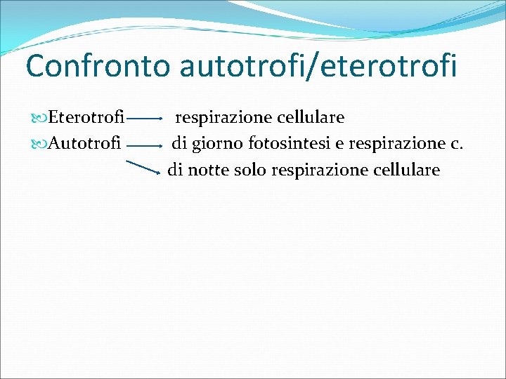 Le caratteristiche dei viventi Che cosa distingue un