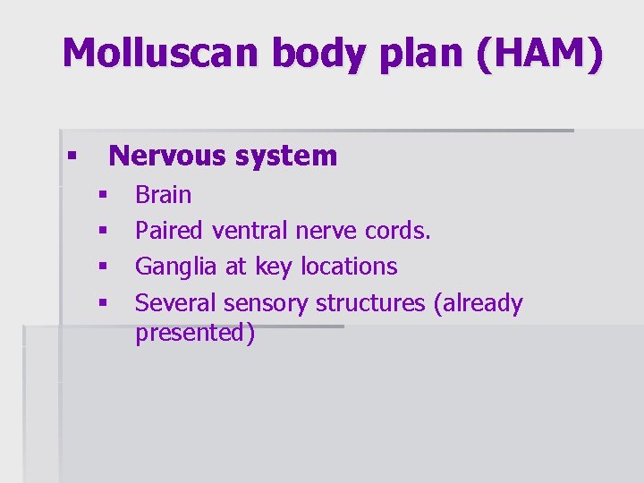 Invertebrates 4 Phylum Mollusca Phylum Mollusca The softbodied