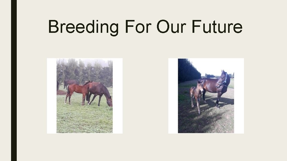 JIM AND SANDI CURTIN Trading as Jim Curtin