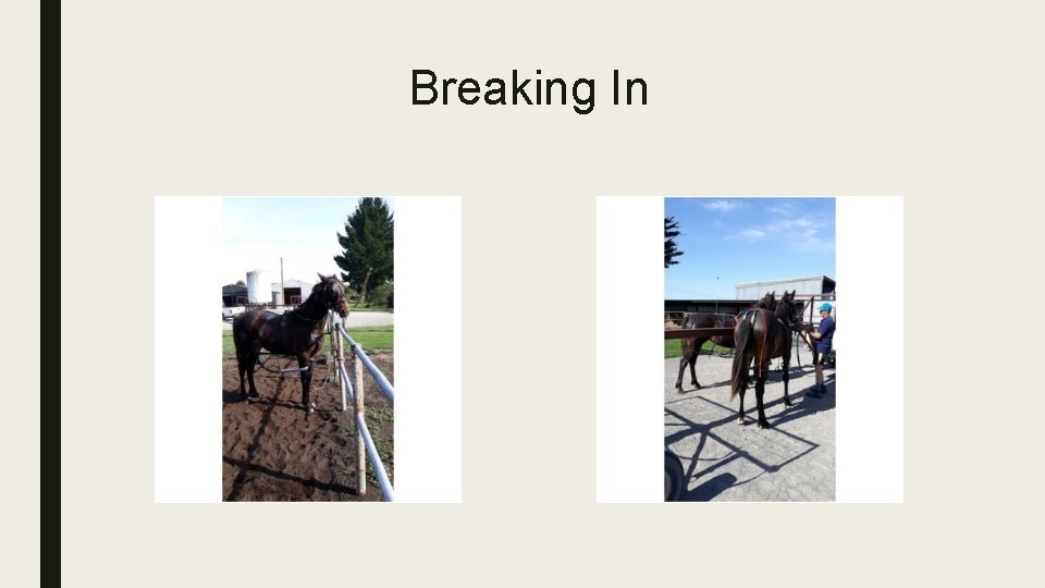 JIM AND SANDI CURTIN Trading as Jim Curtin