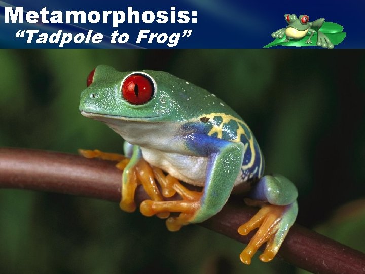 Transformation Change We MUST Can Believe In But