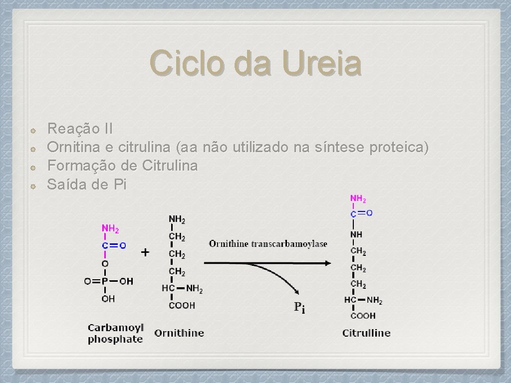 Metabolismo de Aminocidos Ciclo do Ureia Rota metablica