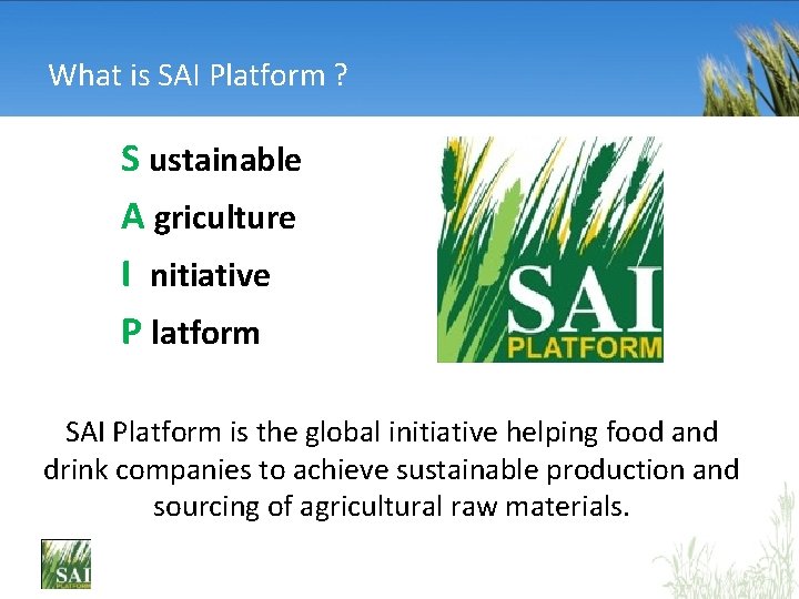 An introduction to Sustainable Agriculture Initiative SAI Platform