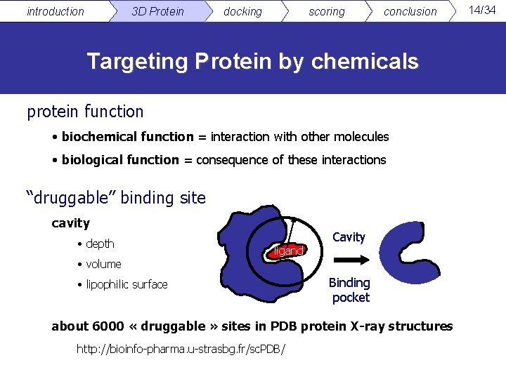 134 Docking placing a ligand into a receptor