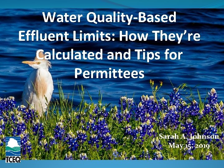 Water QualityBased Effluent Limits How Theyre Calculated and