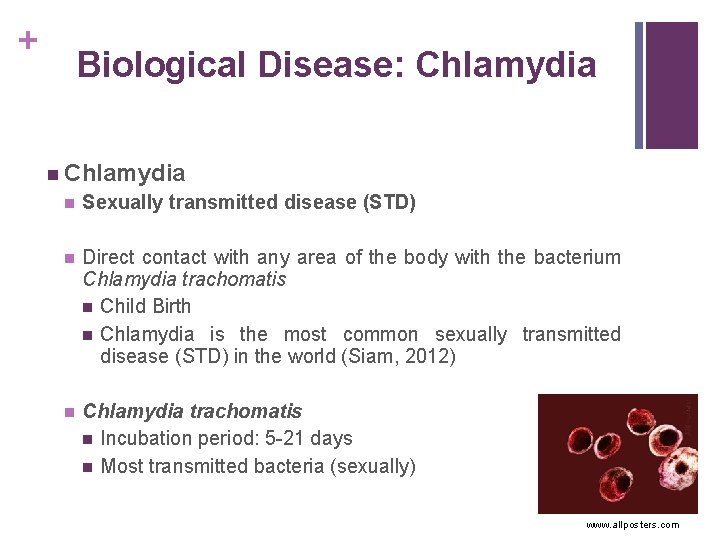 Compartmental Model for Chlamydia a Sexually Transmitted Disease