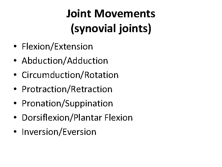 The Skeletal System The adult skeleton is composed