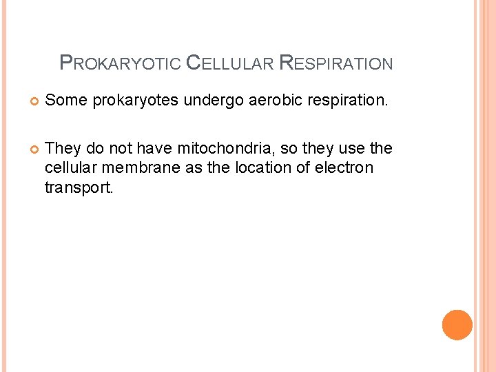 CHAPTER 8 SECTION 3 CELLULAR RESPIRATION Ms Diana