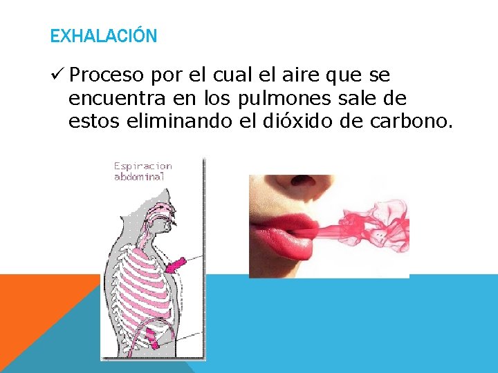 EJERCICIOS RESPIRATORIOS ESPIRMETRO DE INCENTIVOTRIFLO DANIEL MELLA ...