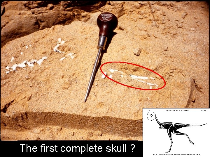 The use of cyanoacrylates and Butvar B76 polyvinyl