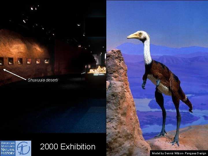 The use of cyanoacrylates and Butvar B76 polyvinyl