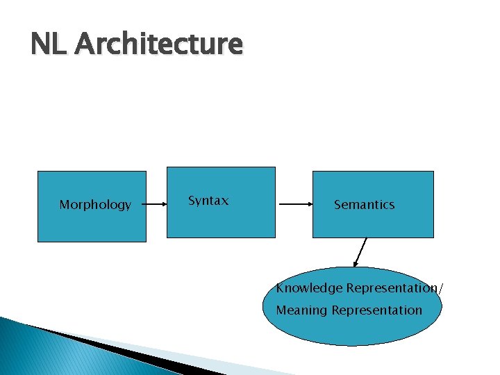 Semantics Representations and Analyses Slides adapted from Julia