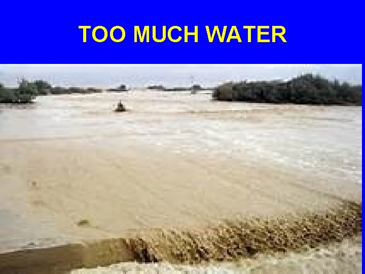 LESSONS LEARNED FROM PAST NOTABLE DISASTERS EGYPT PART