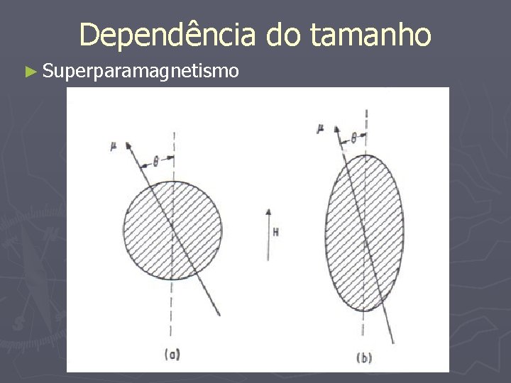 Modelos para magnetorecepo Dr Daniel Acosta Avalos Magnetismo