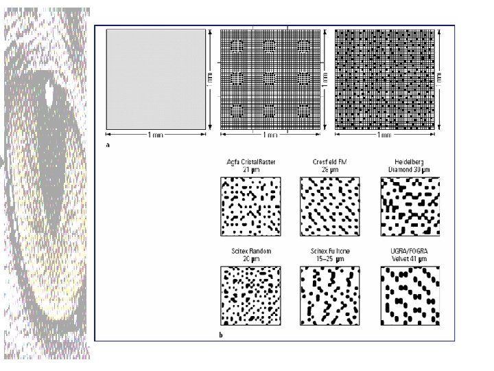 RASTRIRANJE 7 vaja RASTER je mnoica pik ki