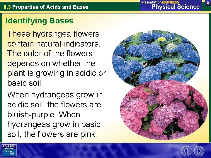8 3 Properties of Acids and Bases One