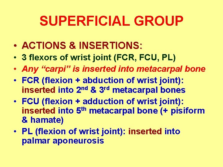 Dr Ahmed Fathalla Ibrahim MUSCLES OF FRONT OF