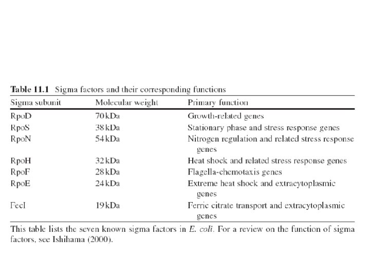 Bacterial Stress Responses Bacterial Stress Responses General stress