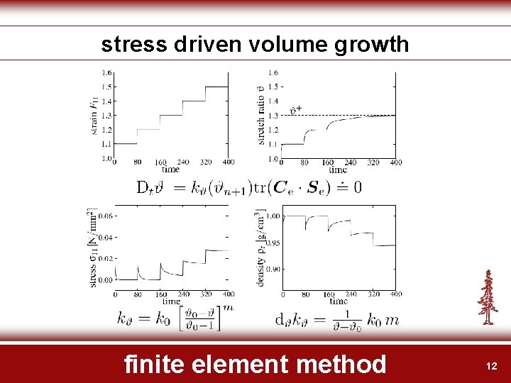14 finite element method volume growth theory 14