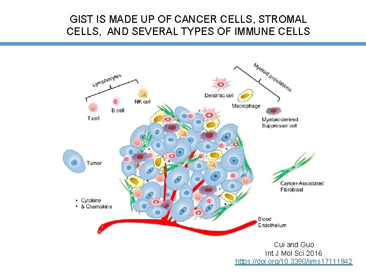 Treatment of imatinibresistant GIST the next generation Dr