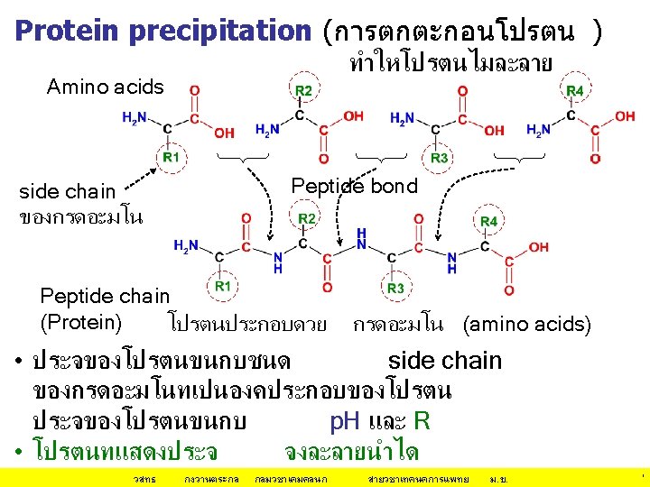 Heme group Primary structure Secondary structure Tertiary structure