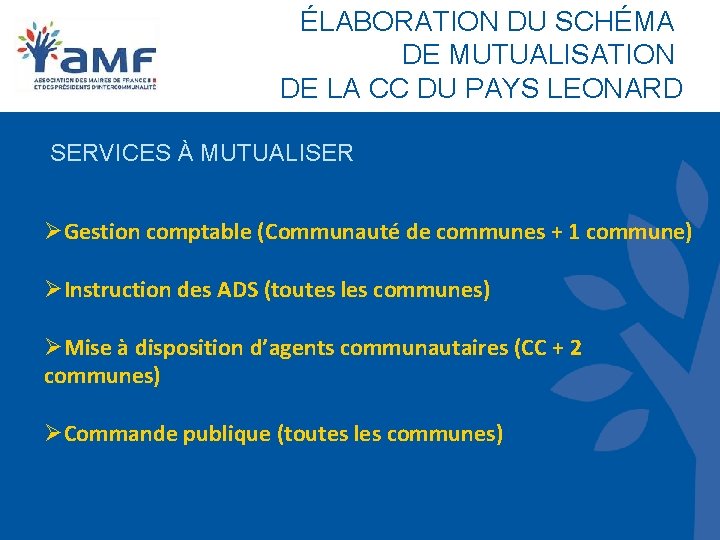 LE PROJET DE SCHEMA DE MUTUALISATION DES SERVICES